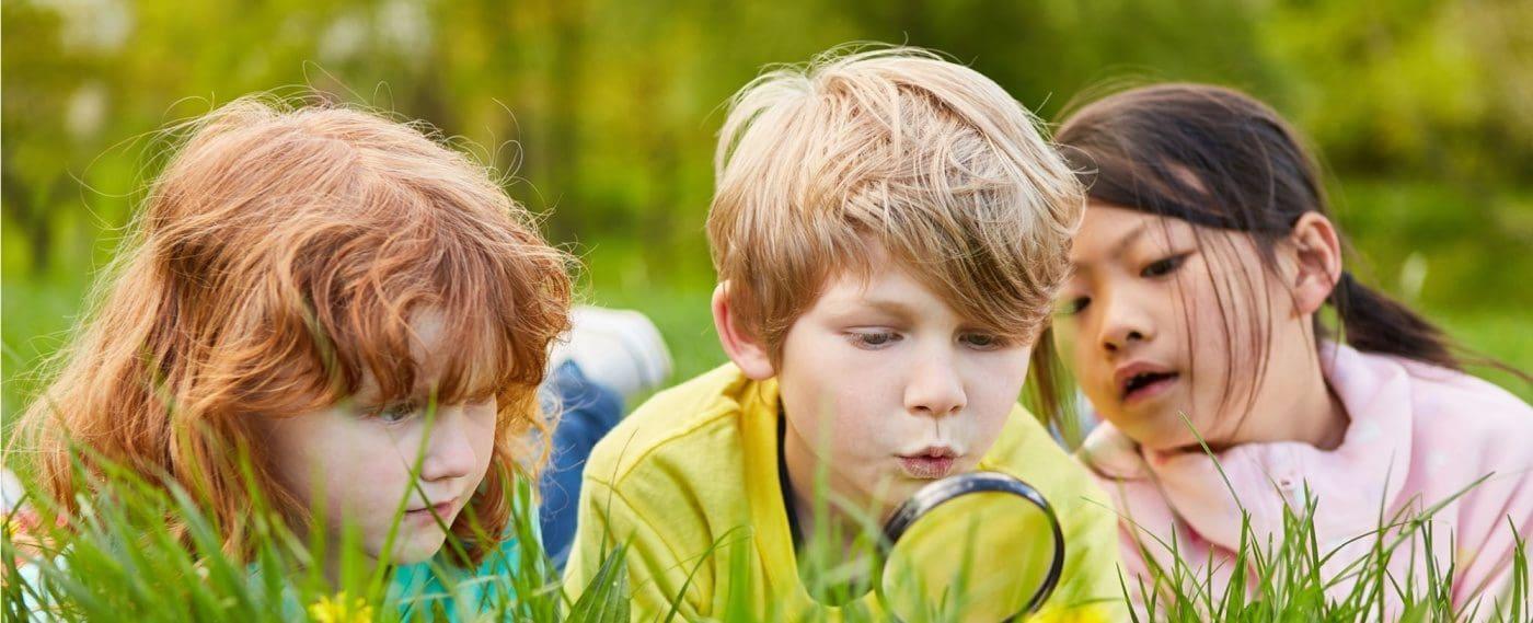 Researcher - Brazelton Touchpoints